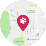 Main Street Animal Hospital | Veterinarian in Victoria TX